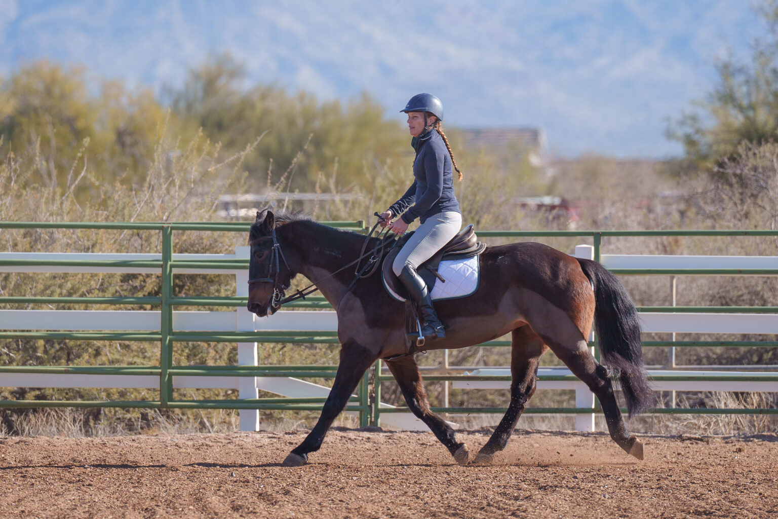 Riding – Arizona Cowboy College